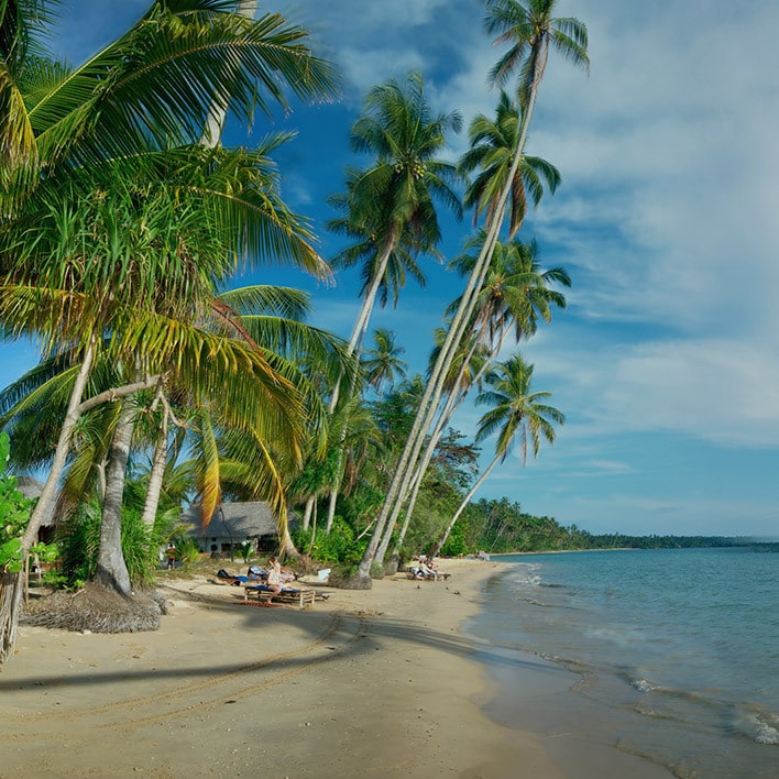 Home - Flexicover Travel Insurance