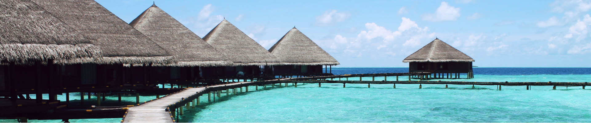 Why Flexicover? | Flexicover Travel Insurance