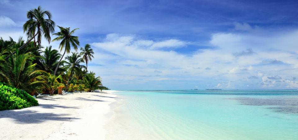 Thank You - Flexicover Travel Insurance